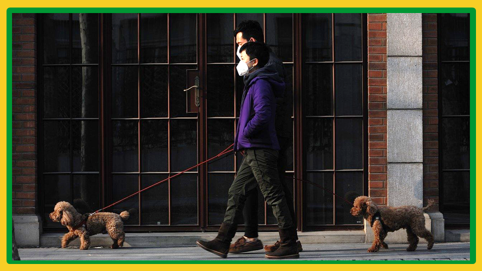 Evolving Global Security Challenges In The Post-COVID World – Voice of East