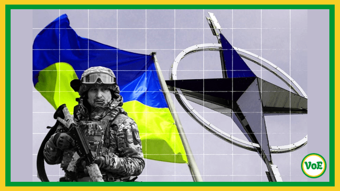 The US’ Reported PMC Plan For Ukraine Amounts To A Partial Conventional ...