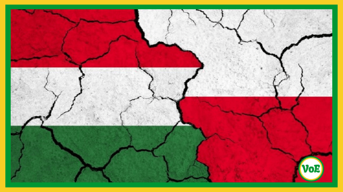 The Polish-Hungarian Dispute Is Getting Nastier After Polish FM Lied ...