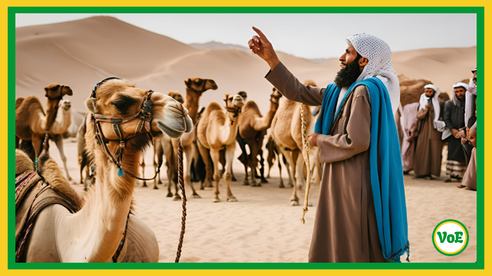 God – Allah – In the eloquent words of Imam Ali ibn Abi Talib – Voice ...
