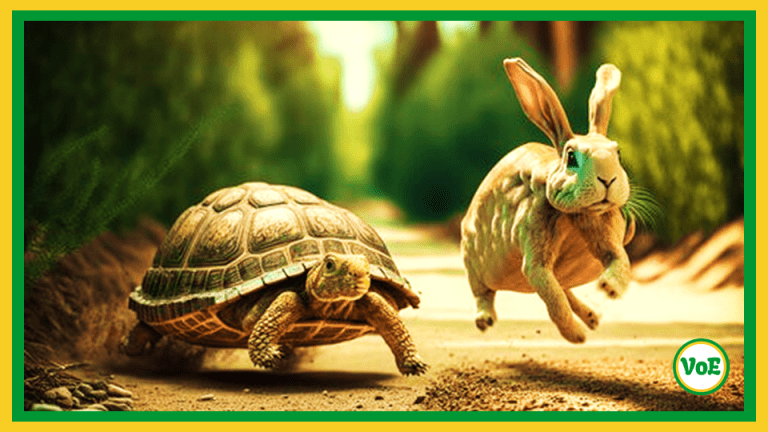 The Story Of Rabbit And Tortoise, And Muslims Of Today – Voice of East