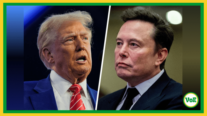 Elon Musk’s America Party: Another Deep State Tool For Leverage ...