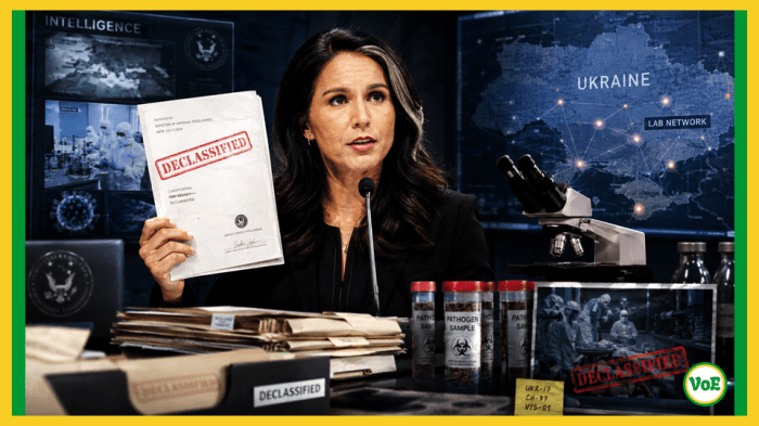 Tulsi’s Ukrainian Biolab Bombshell: From “Russian Propaganda” To ...